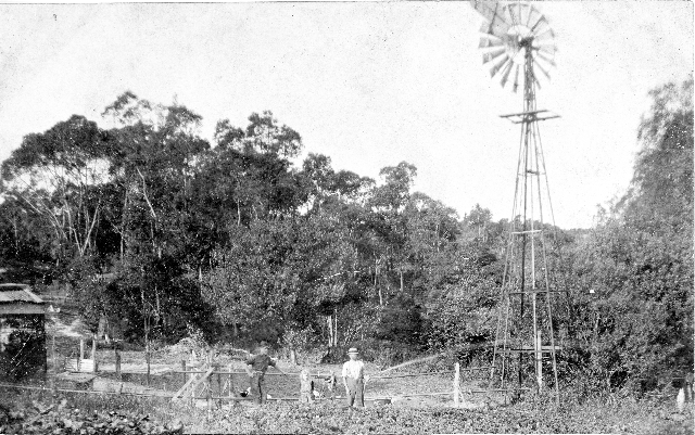 History of the Wolli Creek Valley | Wolli Creek Preservation Society ...