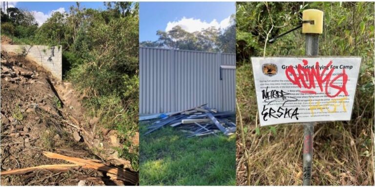 Threats and Challenges-Current and Ongoing-Turrella Reserve to Tempe ...